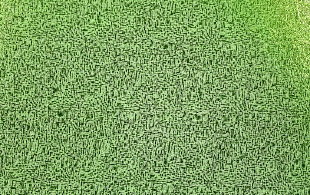 Fog Finish Lime – DK Fabrics